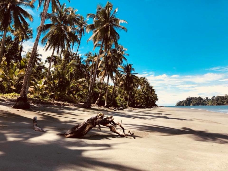 Les 12 plus Belles Plages de Colombie - Colombia Infinita, Agence de ...