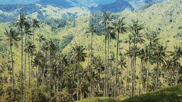 Les 10 plus beaux treks et randonnées de Colombie - Colombia Infinita ...
